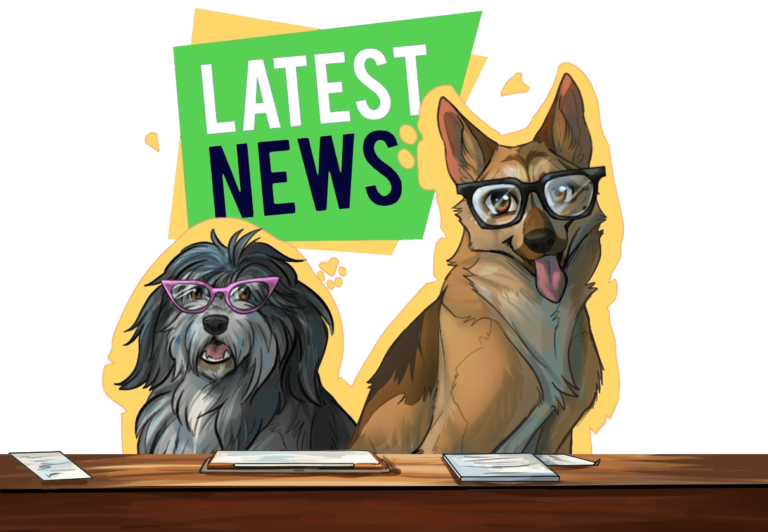 Latest News – Stories from Bronki